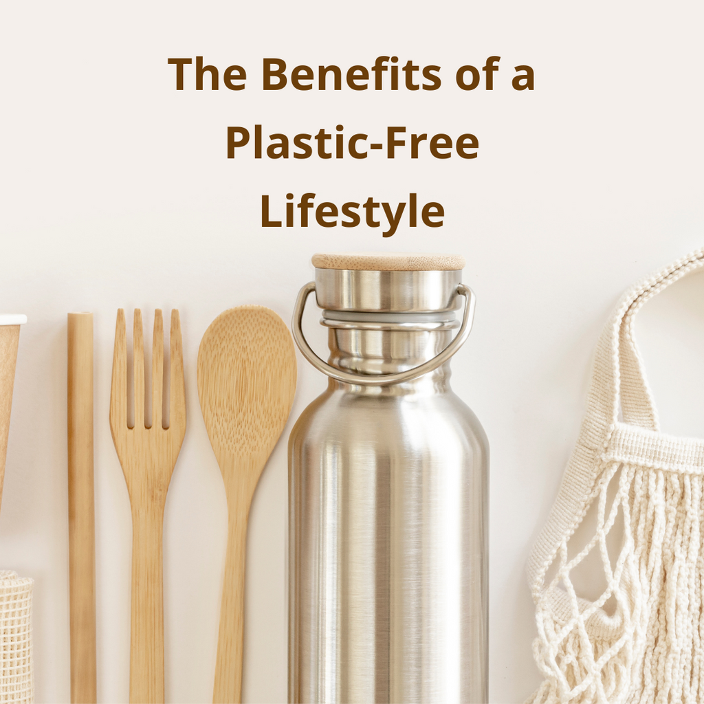 The Benefits of a Plastic-Free Lifestyle – Ethika_Inc